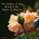 Flower Quotes - Flowers Bloom Hope