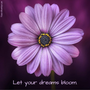 Flower Quotes - Flowers Bloom Hope