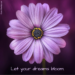Flower Quotes - Flowers Bloom Hope
