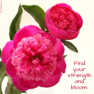 Flower Quotes - Flowers Bloom Hope